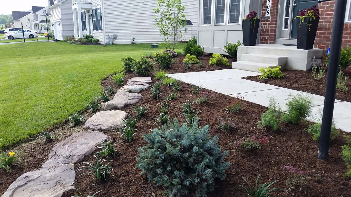 What is Spring Cleanup? - Paradise Landscape